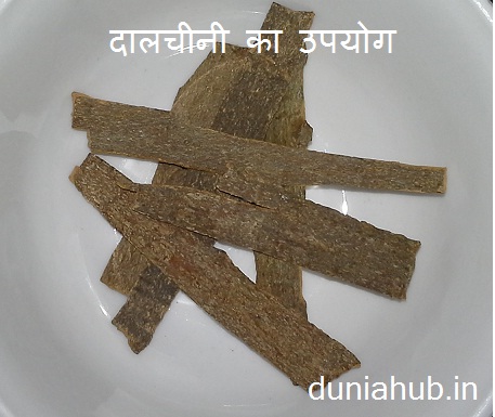 दालचीनी का उपयोग, dalchini uses - Duniahub.in